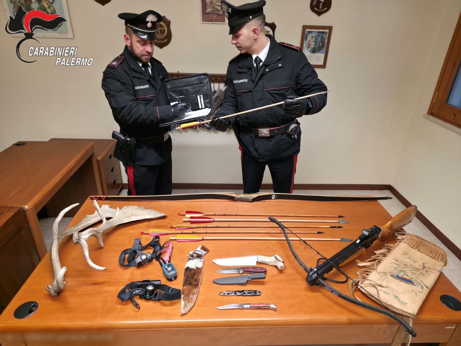 Parco delle Madonie, corna di daino, balestra e arco in auto ...