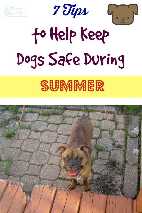 7 tips to keep pets safe during summer