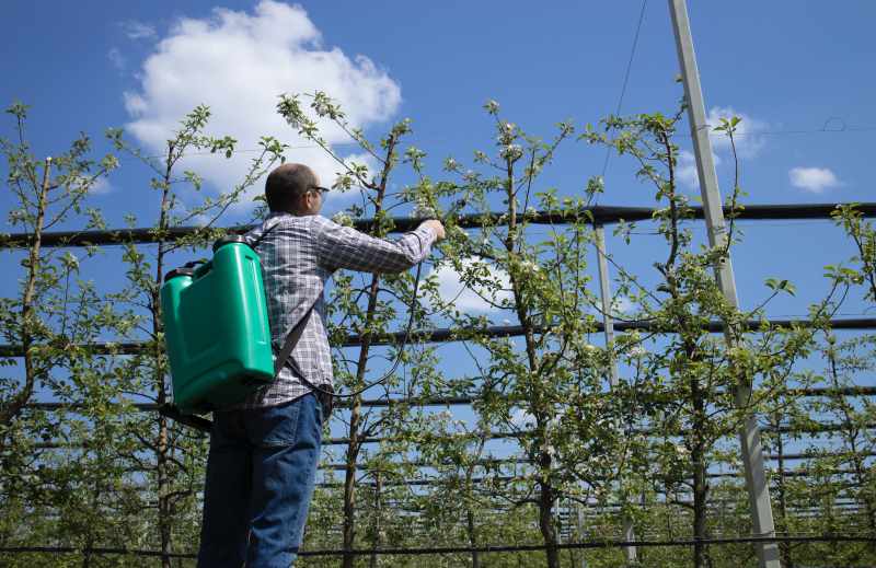 Des « assurances vertes » encourageraient les agriculteurs à réduire l ...