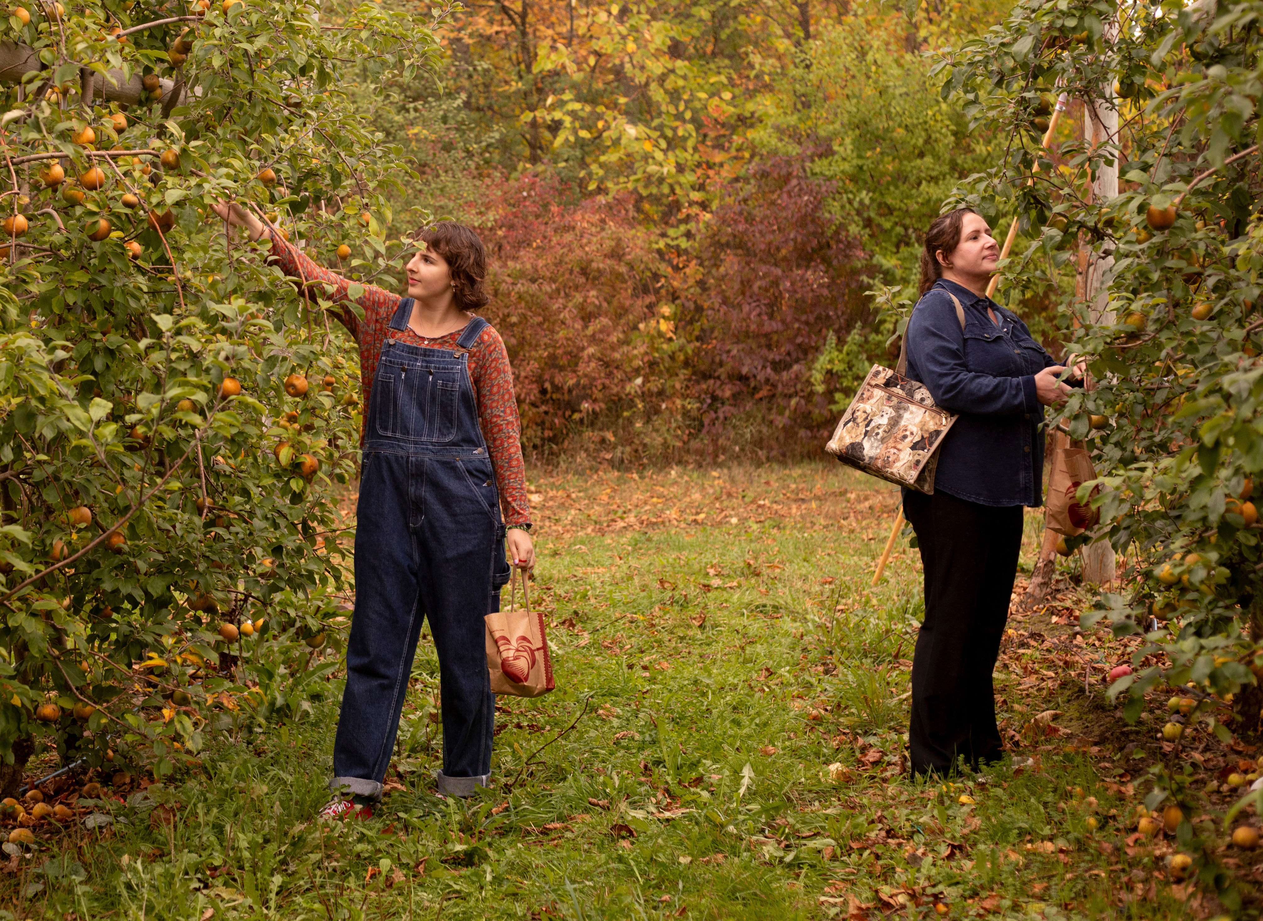 Where record warmth far outpaced the cold last year