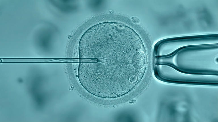 PMA et allergies infantiles : une vaste étude taïwanaise révèle des ...