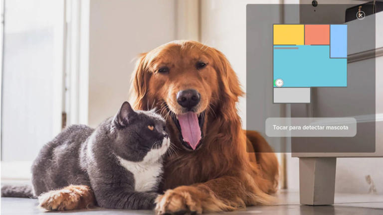 Limpia mejor que tú, es totalmente autónomo, encuentra a tus mascotas y ...