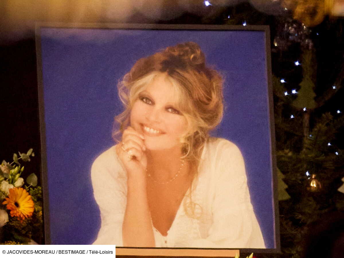 Obsèques de Brigitte Bardot : Jean-Luc Reichmann, Paul Belmondo ...