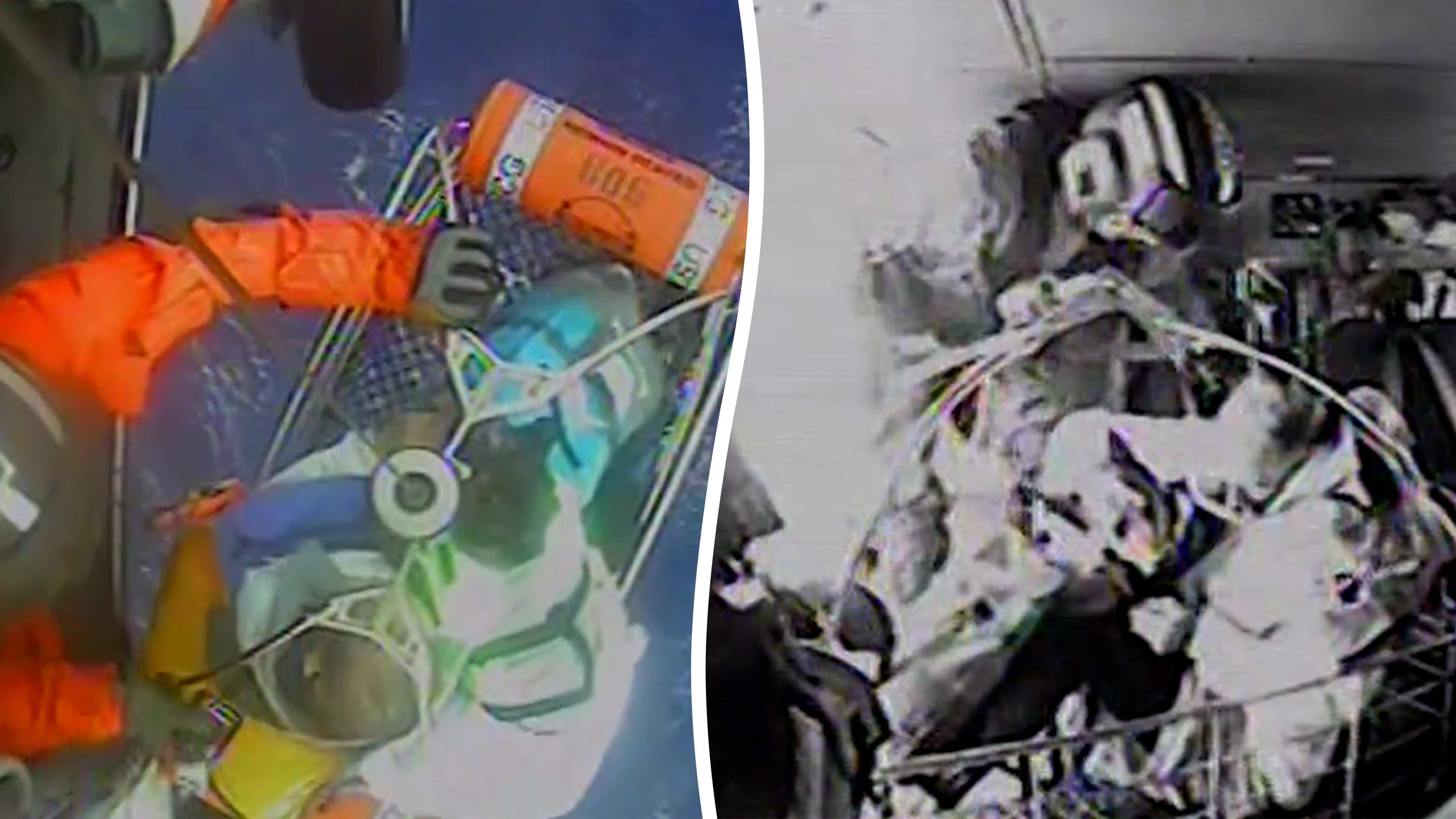 Coast Guard rescues two people, dog, and cat from disabled sailboat ...