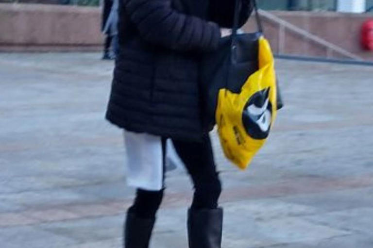 Mum offered £500 to complete simple job ended up hauled before courts