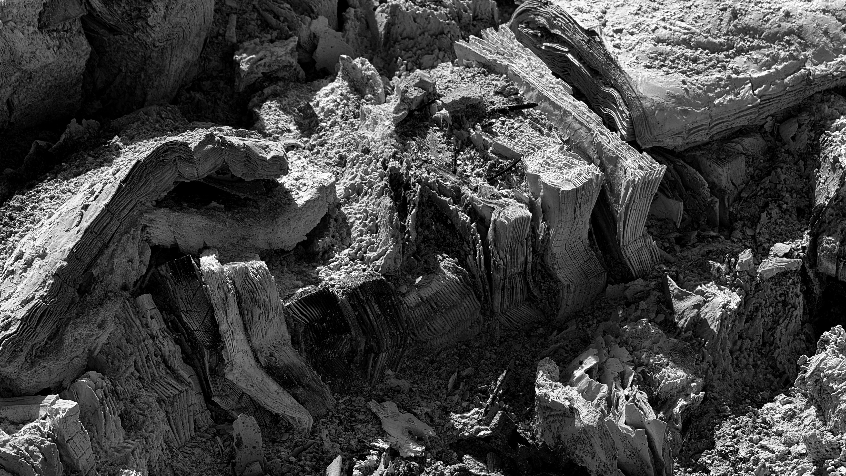 I lost my library in a fire