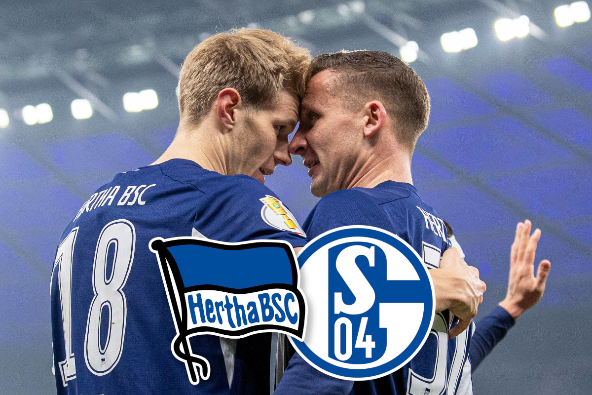 Ex-S04-Profi mit Hertha gegen Schalke 04: Seine Knall-Ansage lässt die ...