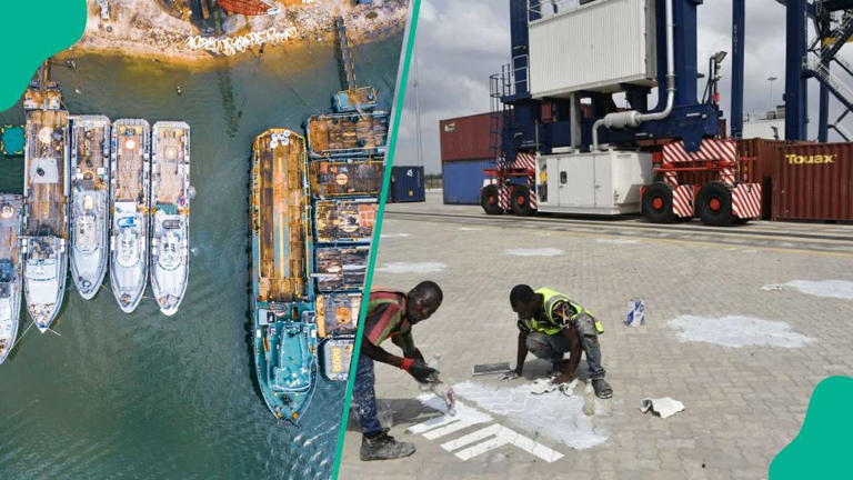 Serious issue: Why Nigerian ports may shut down soon