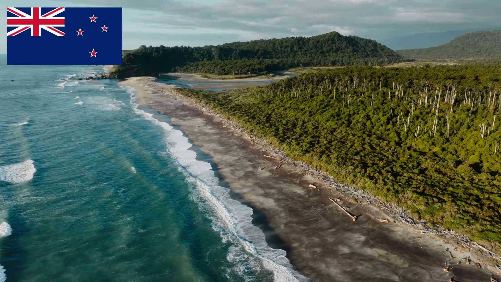 3 endangered animals that are being annihilated by invasive cats