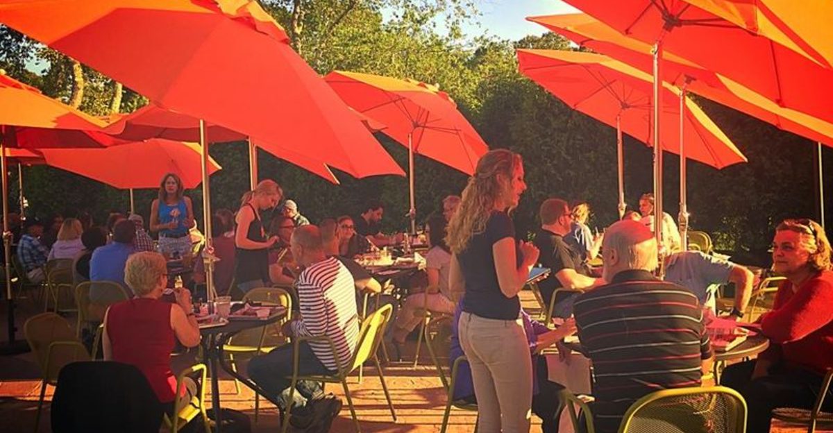 7 dog-friendly downtowns in Connecticut where you can walk, shop, and ...