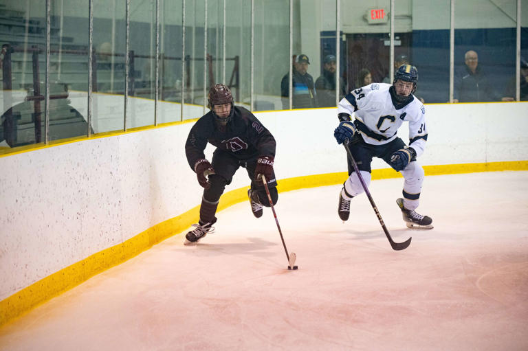 Ann Arbor-area hockey statistic leaders through Jan. 7