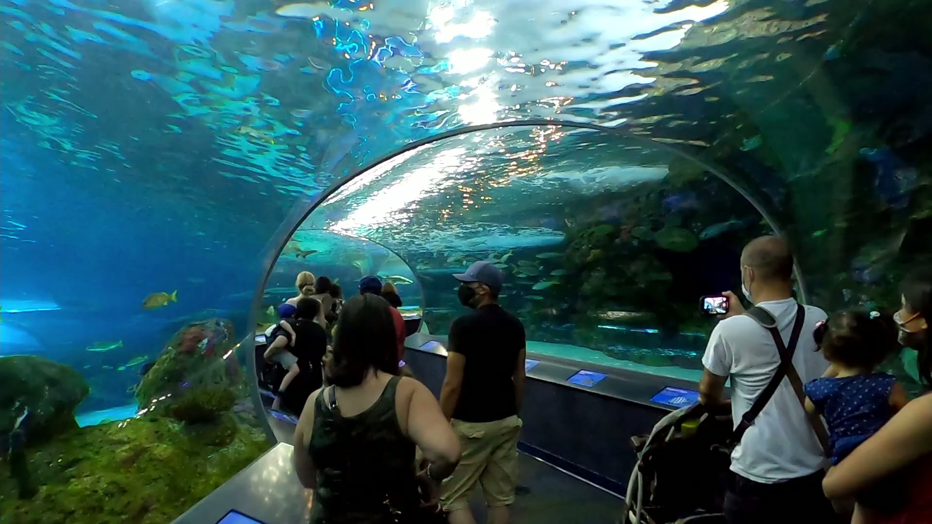 Epic day in Toronto! Ripley’s Aquarium & The Rec Room adventure | Best ...