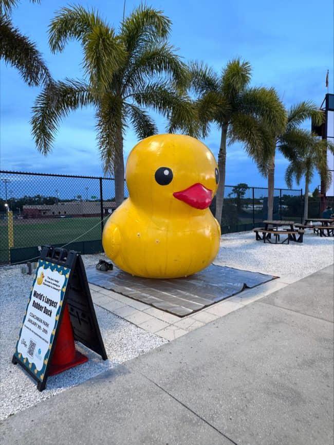 Get ready to quack: World’s largest rubber duck making a splash in ...