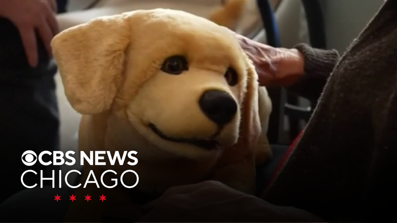Robotic dog on display at CES