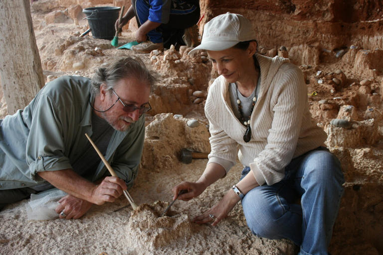 Early hominins from Morocco reveal an African lineage near the root of ...