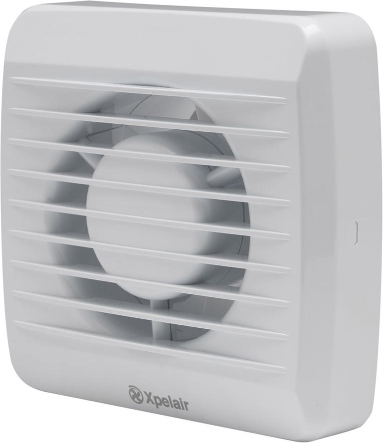 Mildew vs mould: What's the difference?