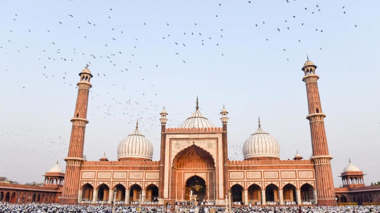 Delhi HC issues big directive on survey of encroachments around Jama ...