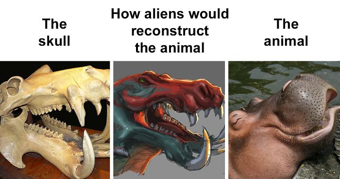 People compare how aliens would reconstruct animals based on their ...