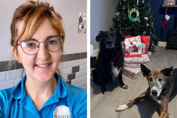 Swindon dog groomer first in UK to gain pioneering new qualification