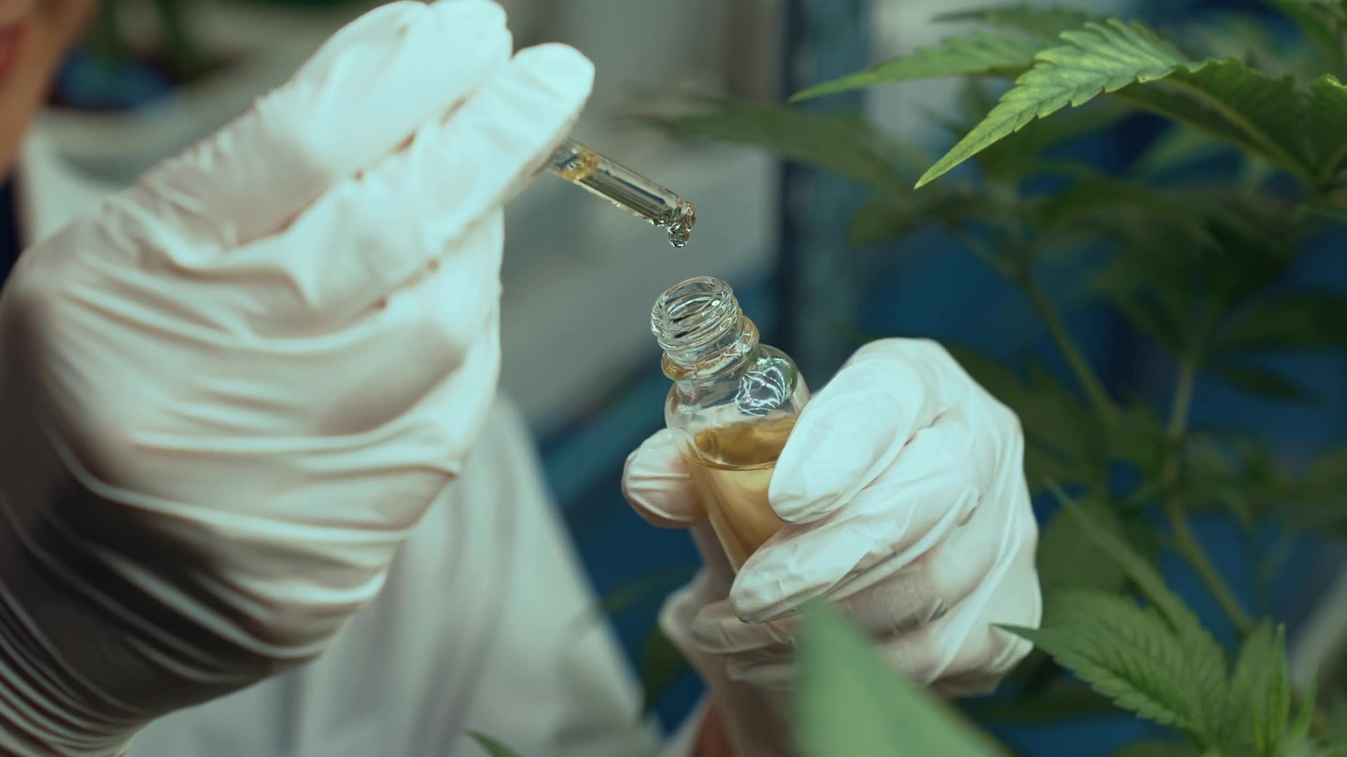 Realistic assessment of cannabidiol therapeutic potential