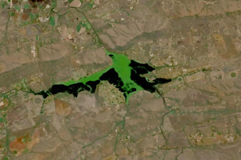 NASA images show extent of algal blooms at Hartbeespoort Dam [pics]