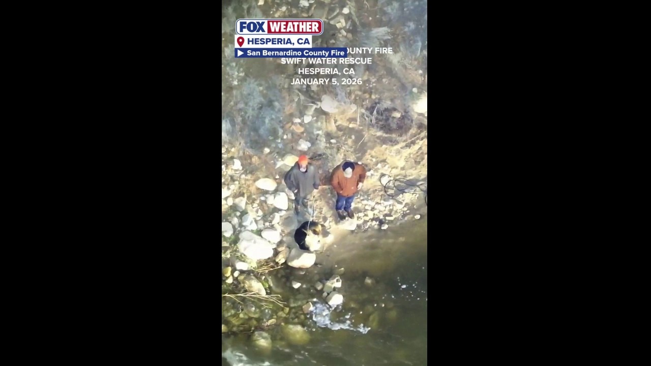 Two men, dog rescued from fast moving river