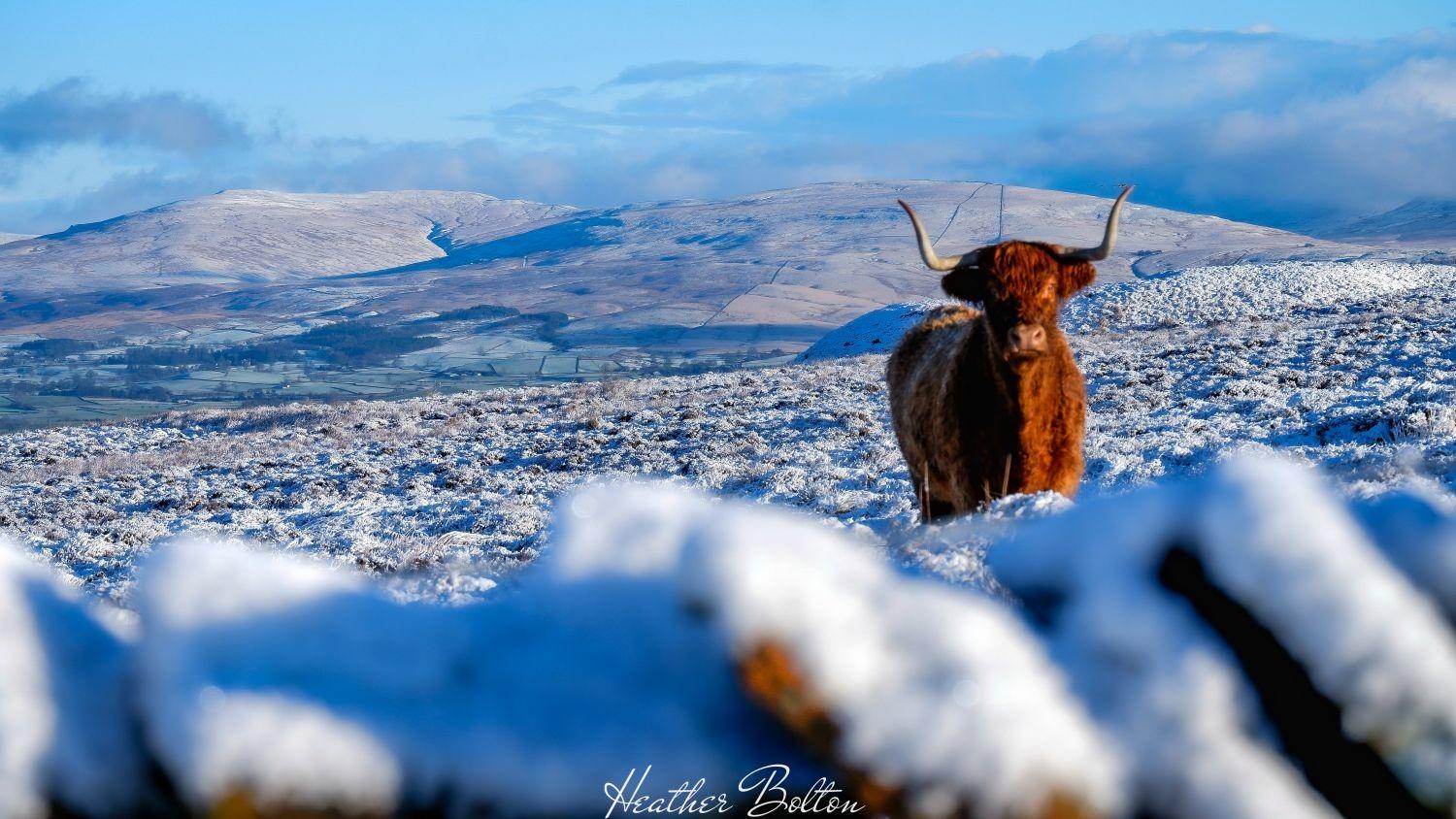 21 fabulous winter photos taken by our readers in Lancaster and Morecambe