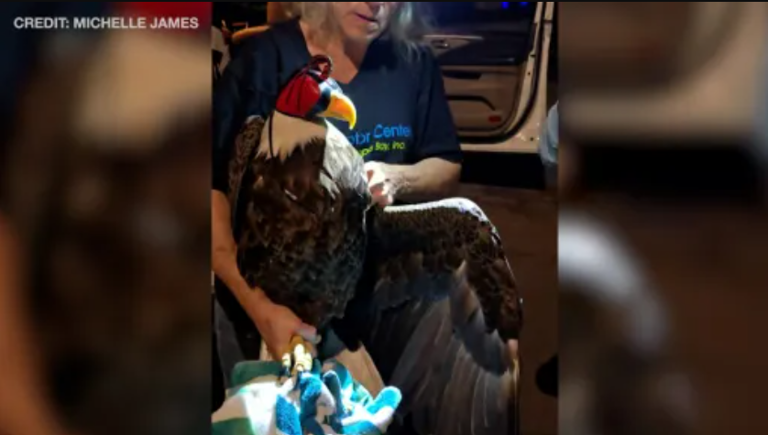 Your morning: Venezuela briefings set for Senate, House