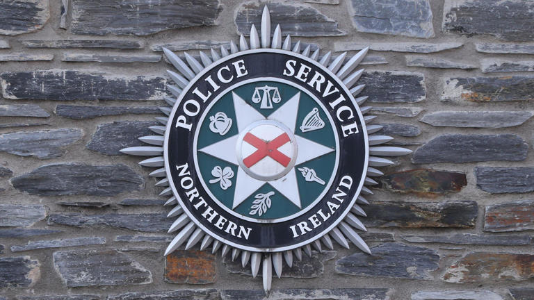 Shot fired as officer is struck by stolen police vehicle