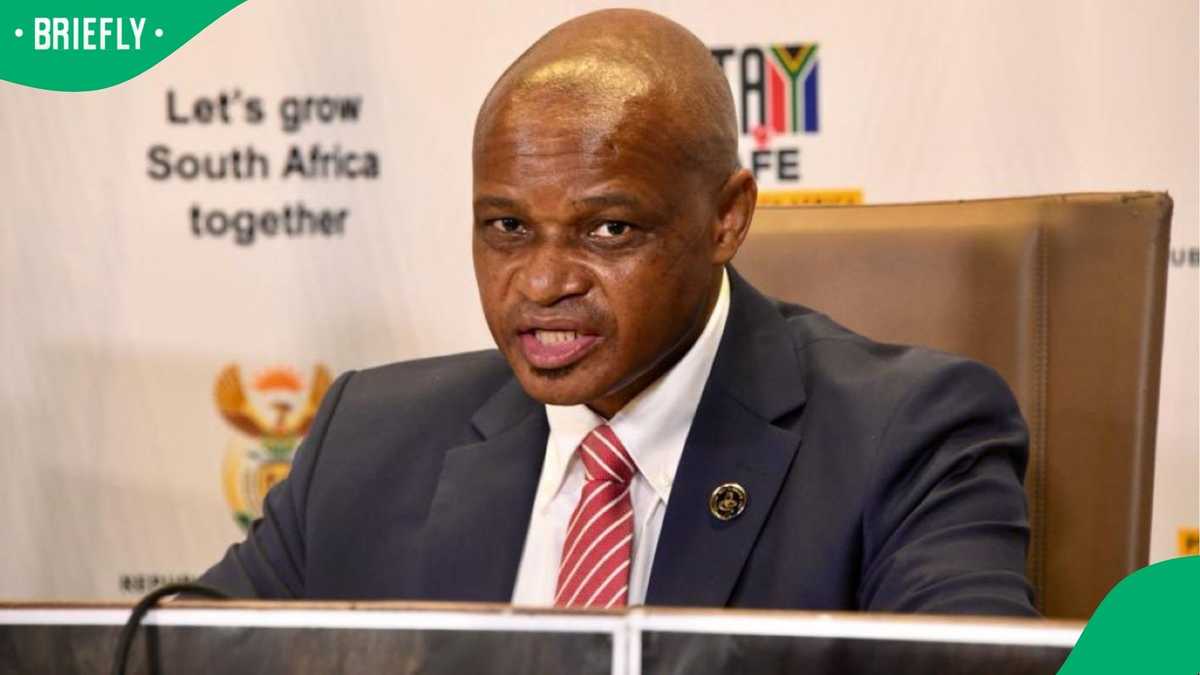 Advocate Andy Mothibi's appointment as NDPP sparks varying reactions ...