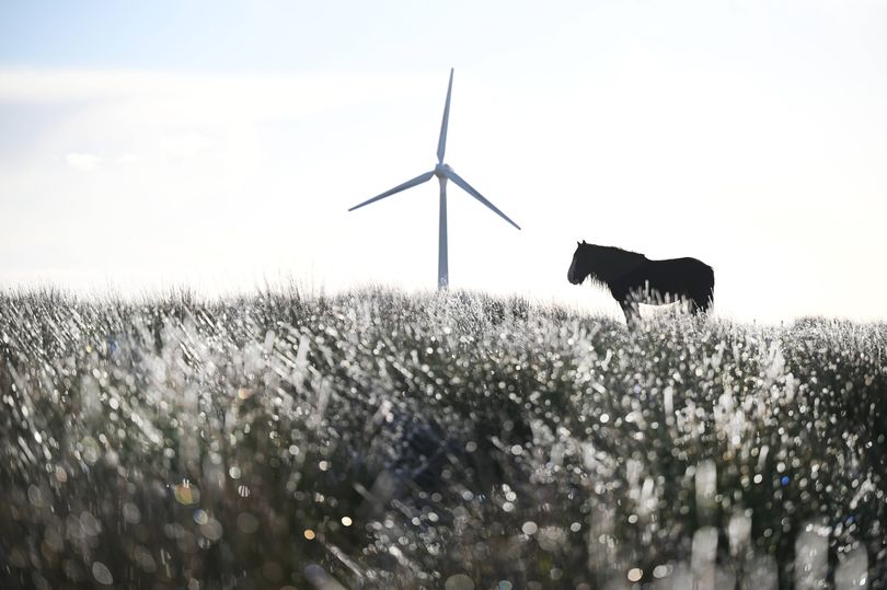Ireland weather snow warning issued as Storm Goretti looms with wintry ...