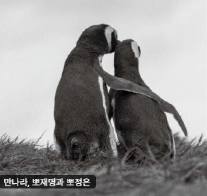 President Lee Jae-myung calls for summit amid North Korea's military parade