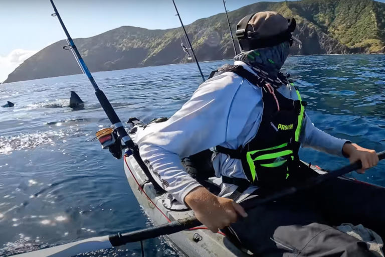 Kayak angler chased by shark (video)