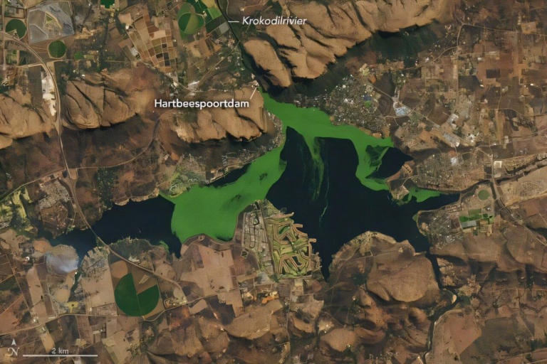 NASA images show extent of algal blooms at Hartbeespoort Dam [pics]