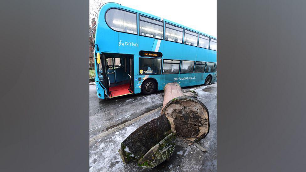 Bus crashes into city's 150-year-old park gate