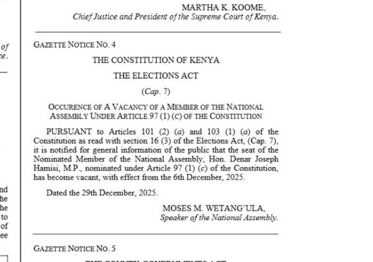 Denar Joseph Hamisi: Speaker Wetang'ula declares nominated MP's seat ...