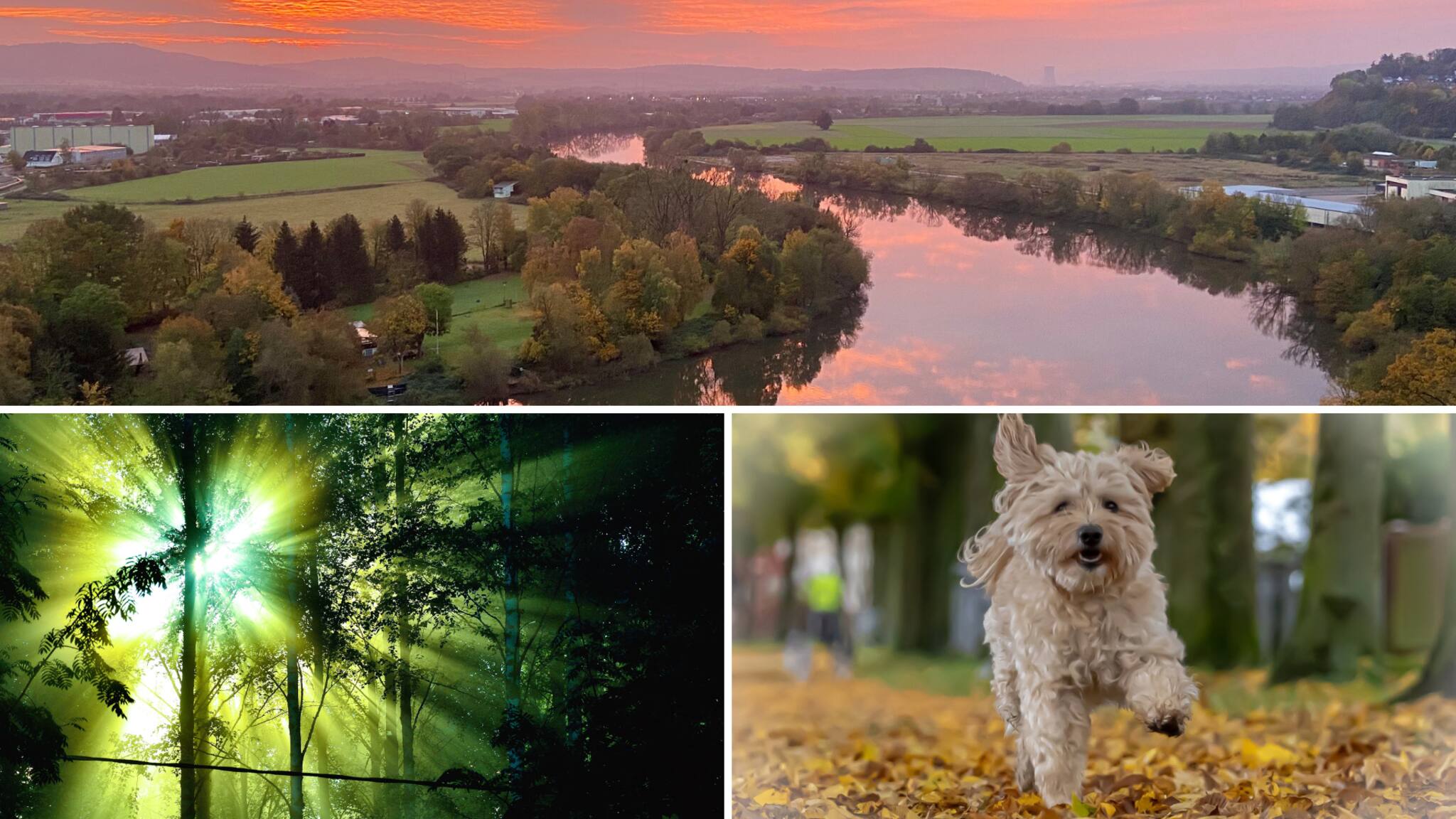 Die besten Leserfotos 2025: Siegerbild zeigt Abendrot über der Weser