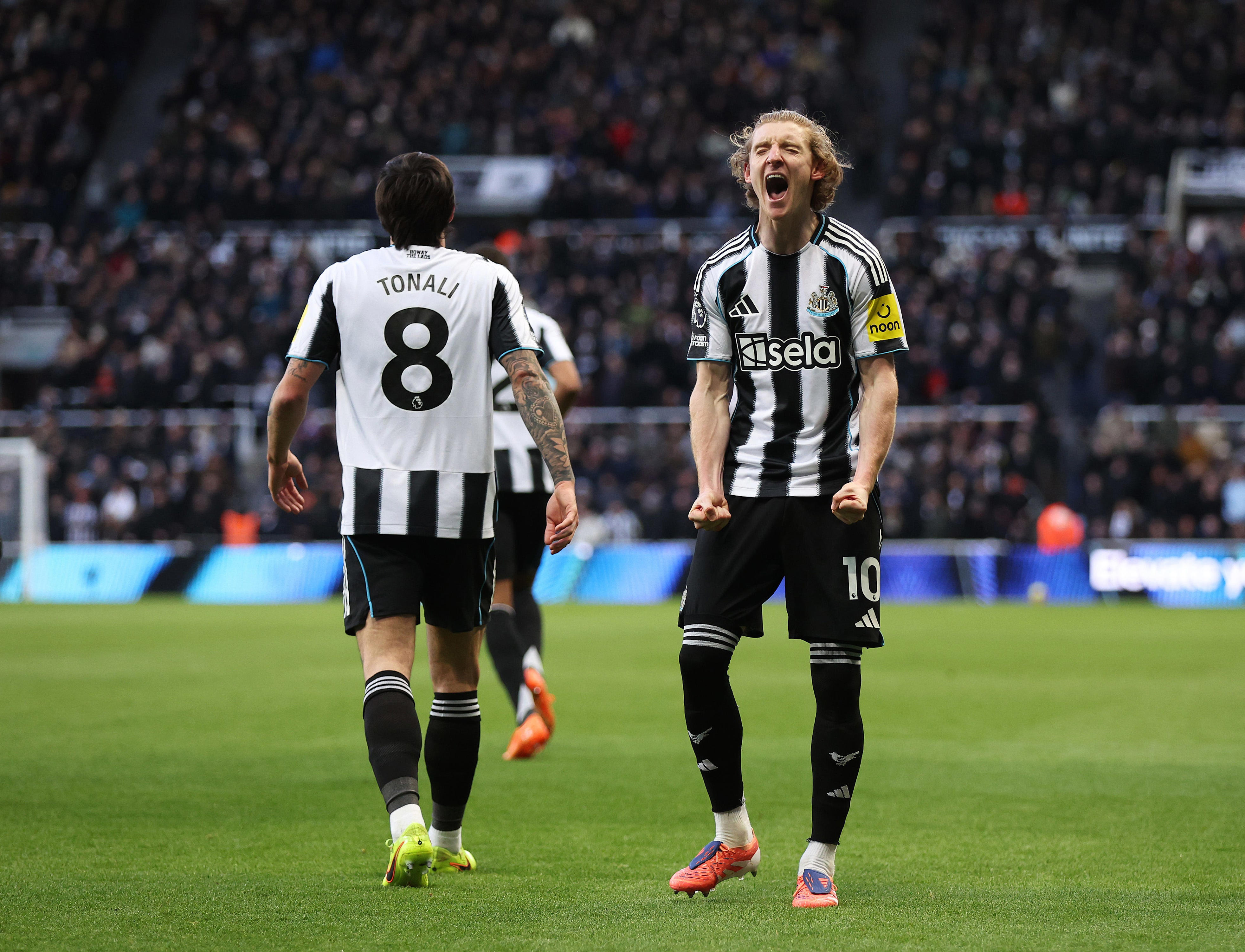 Newcastle vs. PSV: Champions League betting odds, prediction, pick