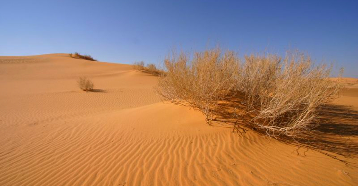 From desert to shortage: Saudi Arabia and the UAE are buying sand from ...