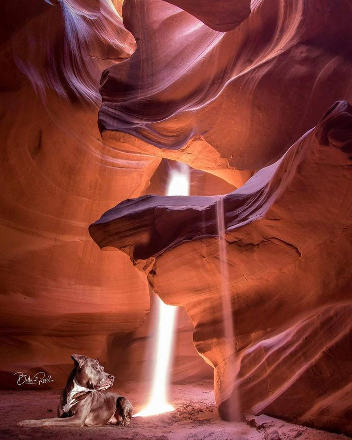 I hope to put a smile on your face with these silly photo manipulations ...