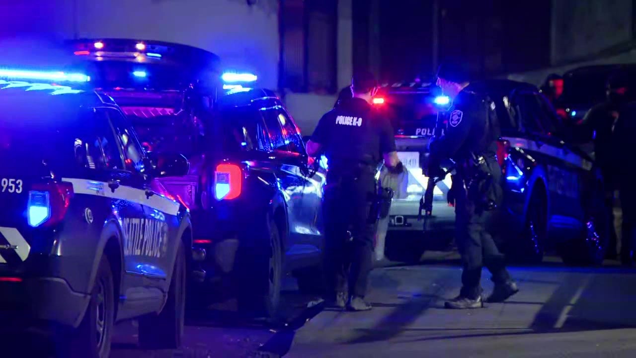 Two men stabbed in apparent attempted robbery in Seattle's Freeway Park