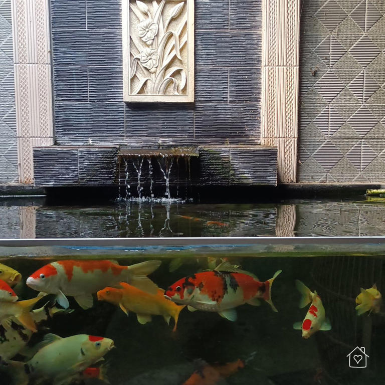 Japanese garden elements you can incorporate in your home