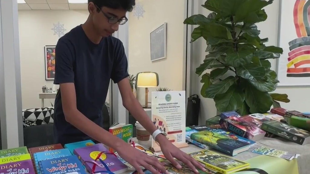 Palisades fire destroys teen's home and library, inspiring nonprofit ...