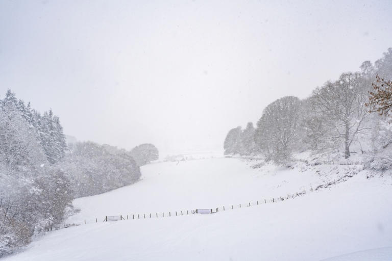 Una tormenta invernal transforma las cumbres de Hawái cubriendo las ...