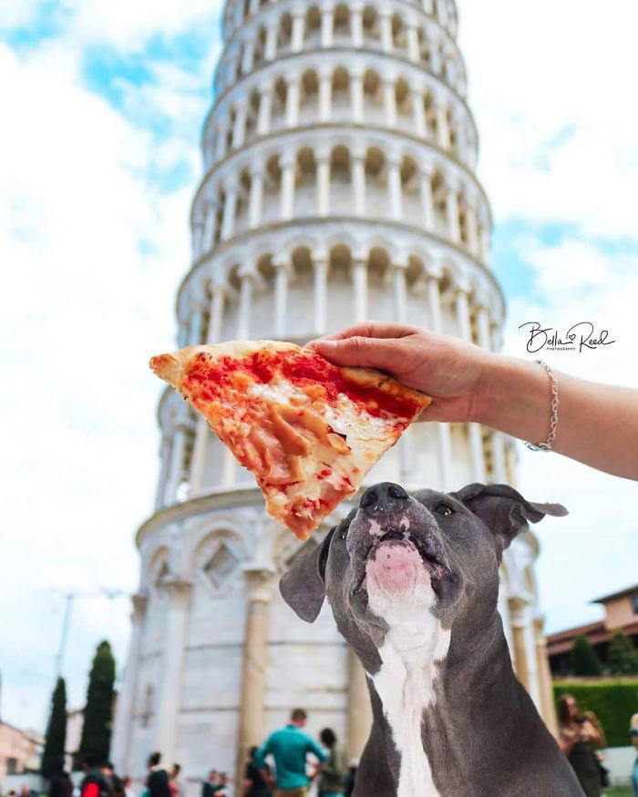 I hope to put a smile on your face with these silly photo manipulations ...