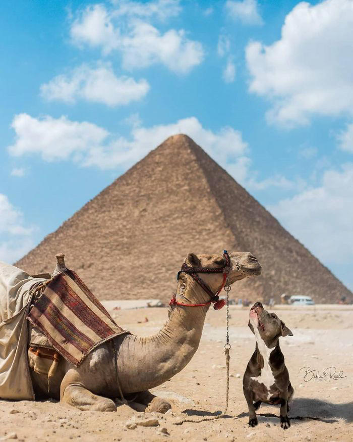 I hope to put a smile on your face with these silly photo manipulations ...