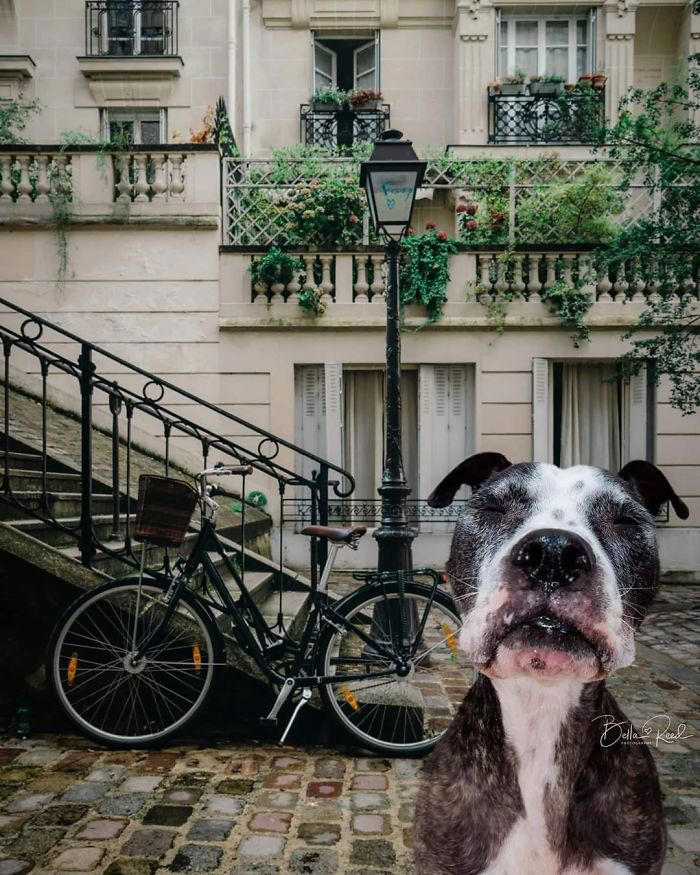 I hope to put a smile on your face with these silly photo manipulations ...