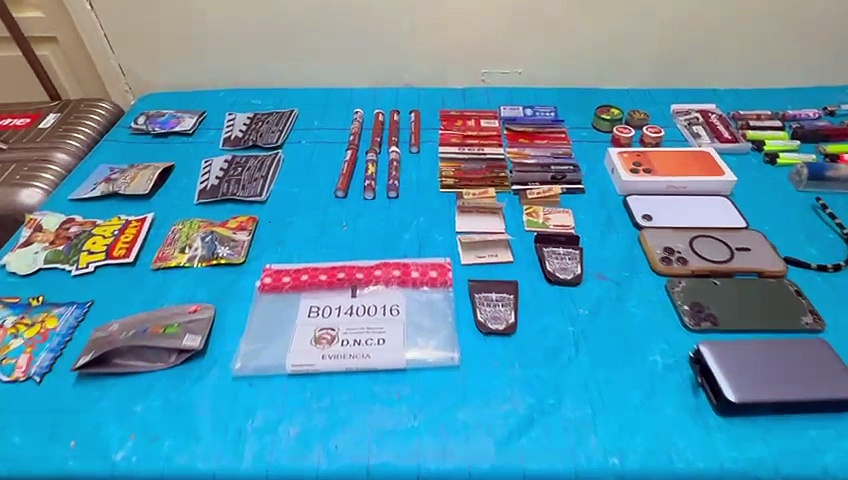 DNCD arresta estadounidense con siete paquetes de marihuana en ...