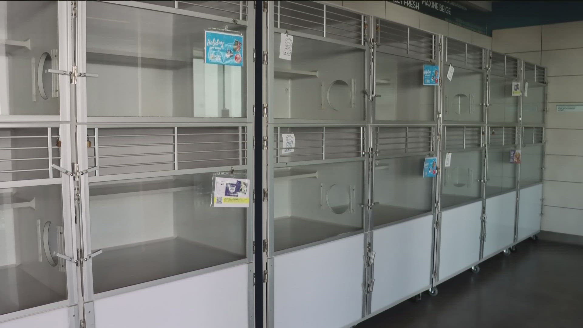 Helen Woodward Animal Center adopts out all available cats by New Year ...