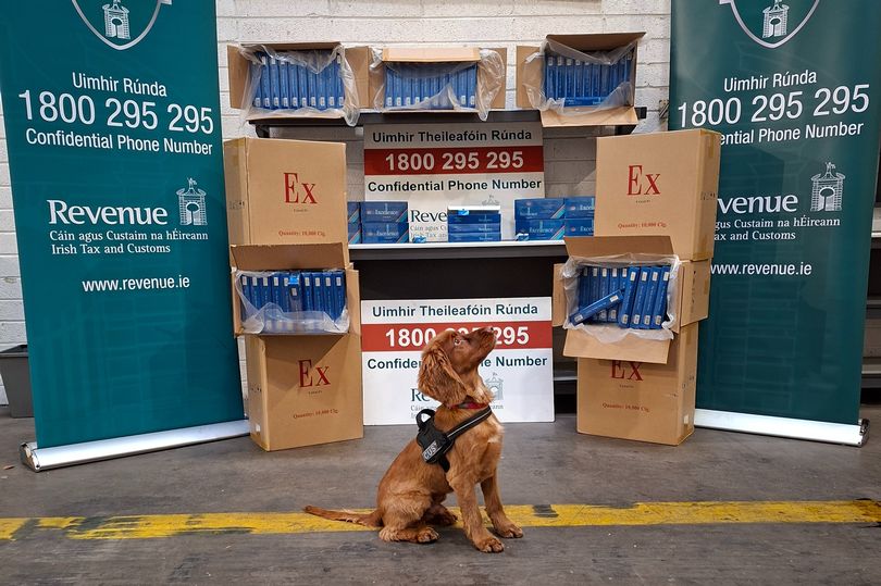Major haul of 13 million cigarettes found by detector dog at Dublin Port